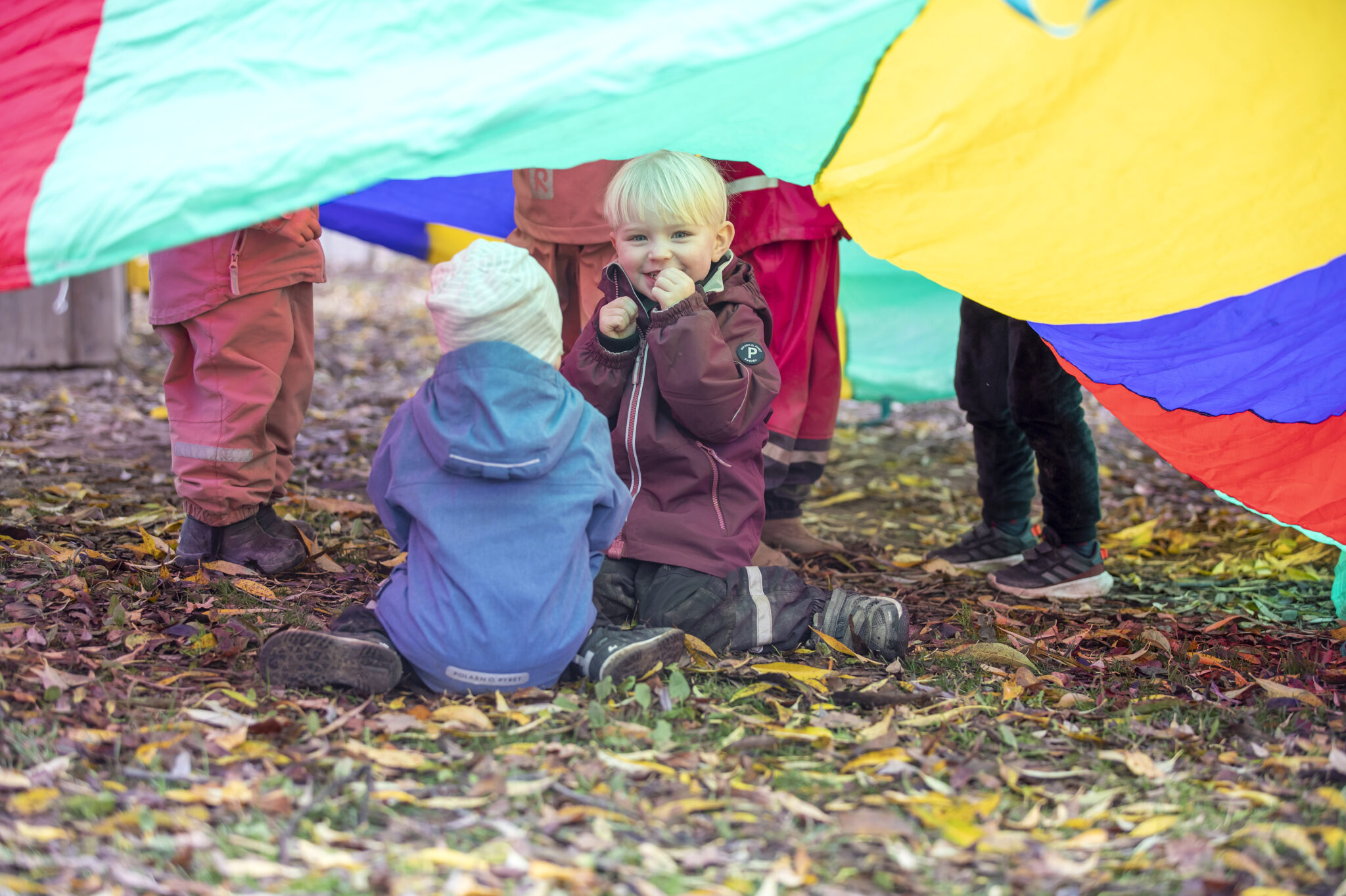 barn-leker-bland-hostlov-under-en-fargglad-fallskarm | Stora Sköndal